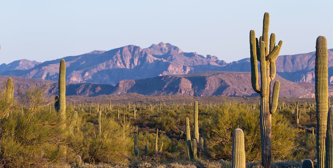 Gehan Homes Announces Entry into the Phoenix Market